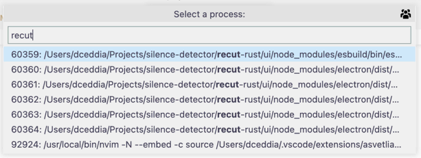 Attach VSCode Debugger To Native Rust In An Electron App